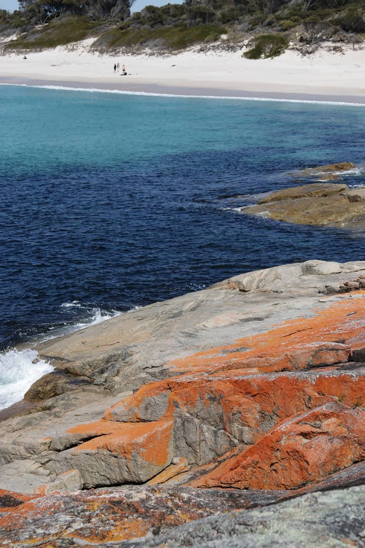 Things to do in Tasmania - Bonjour Quilts