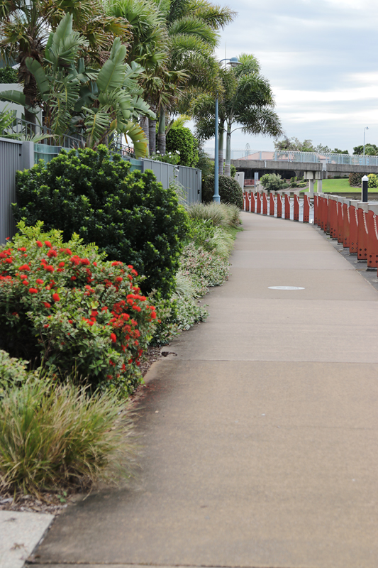 Quilts, Cushions, Birds, Cats, Crafting Links - it's all happening here! - Bonjour Quilts